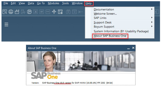 Getting Started with SAP Business One Web Client: Technical Prerequisites
