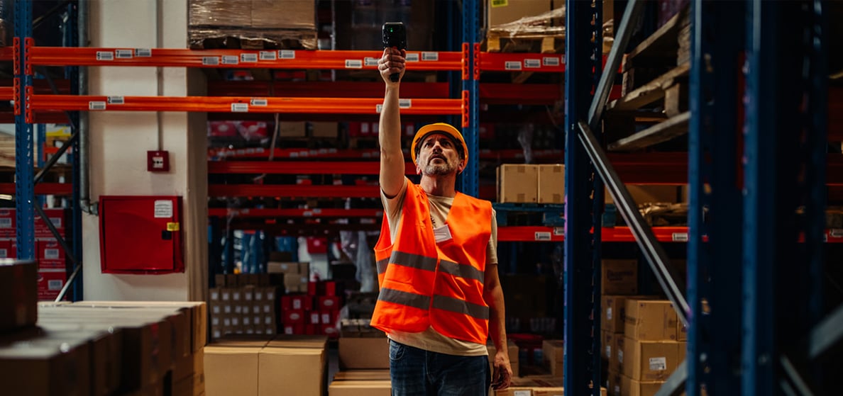 What WiSys WMS addon for SAP Business One includes